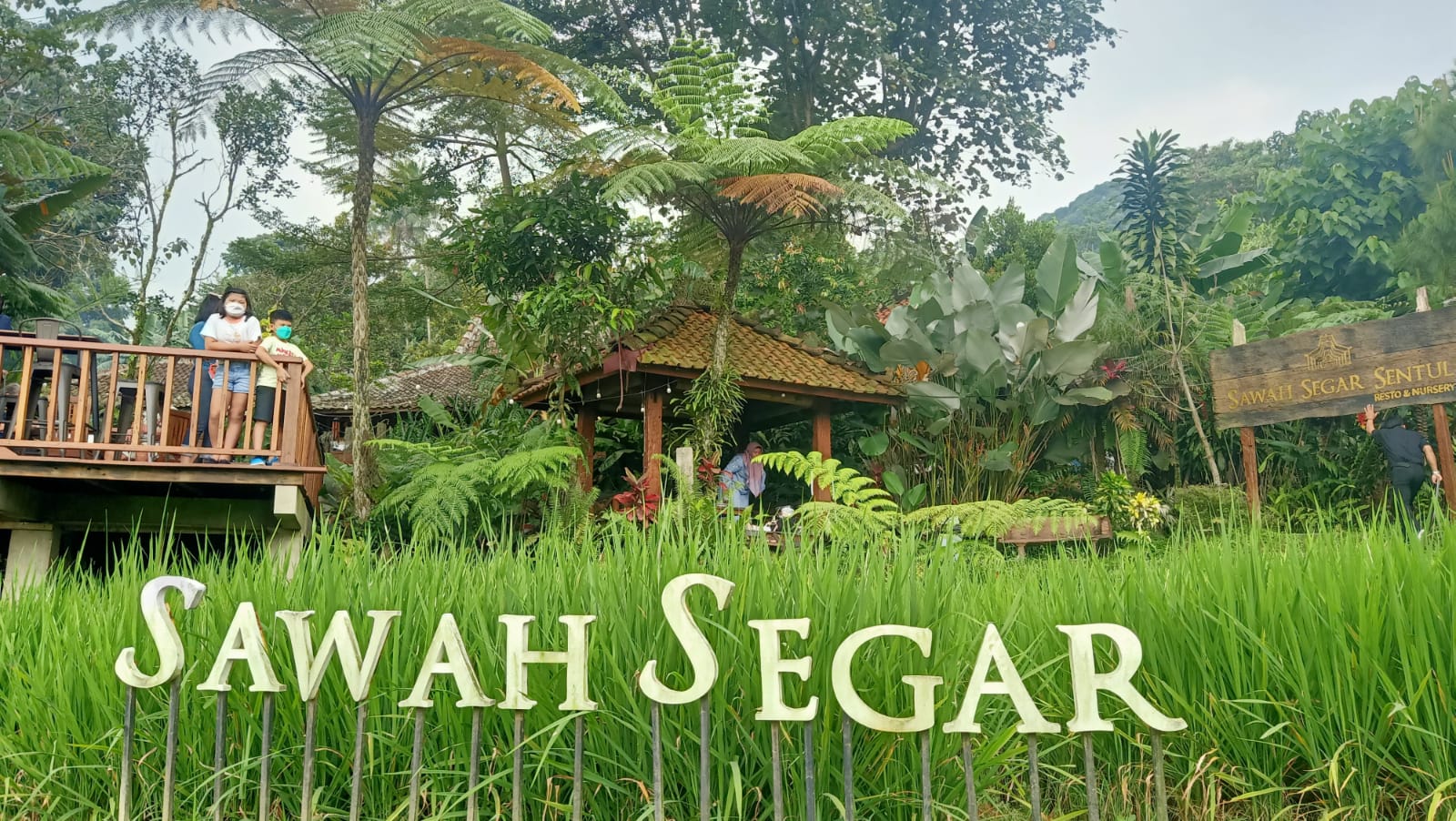 5 TEMPAT MAKAN DAERAH SENTUL YANG WAJIB DIKUNJUNGIN BERSAMA KELUARGA